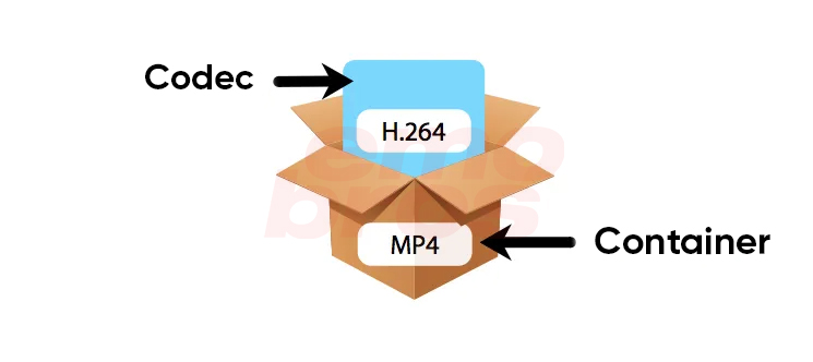 HIỂU VỀ CODEC VÀ CONTAINER - EMOBROS.COM